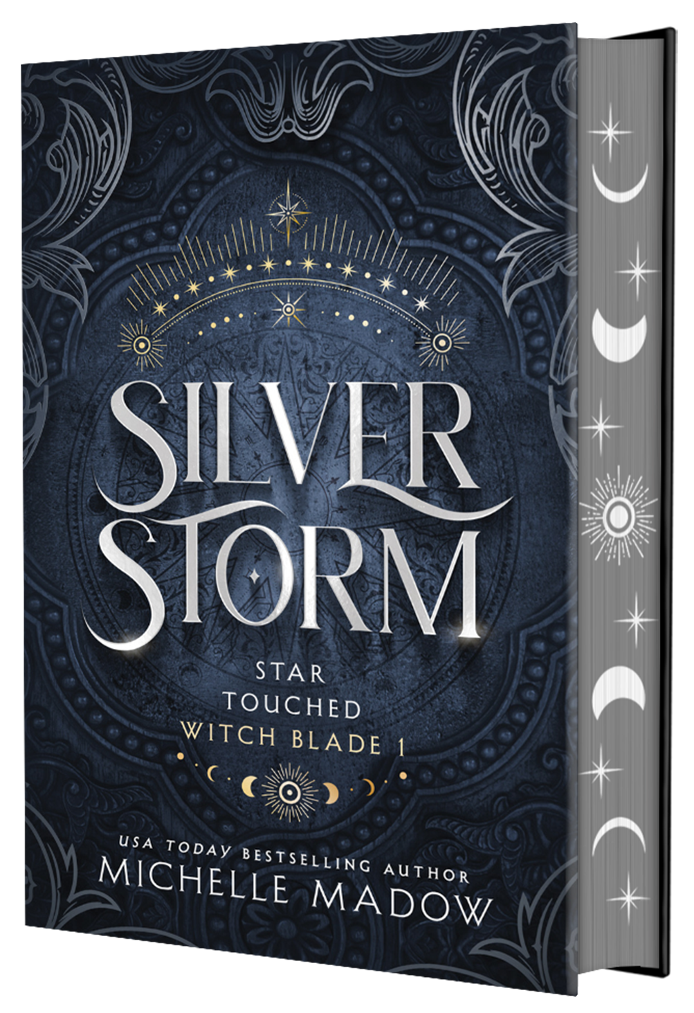 Silver Storm: Chapter One – Michelle Madow